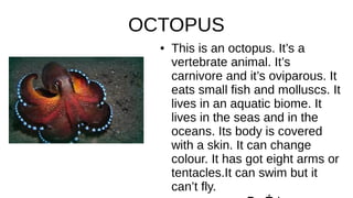 Describing animals final task 5th b | PPT