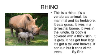 Describing animals final task 5th b | PPT
