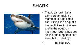 Describing animals final task 5th b | PPT