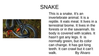 Describing animals final task 5th b | PPT