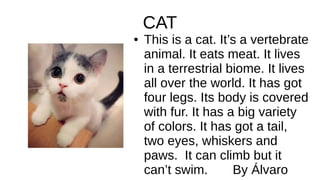 Describing animals final task 5th b | PPT