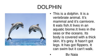 Describing animals final task 5th b | PPT