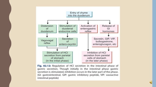 Gastric secretion constituents, disorders and clinical features | PPT
