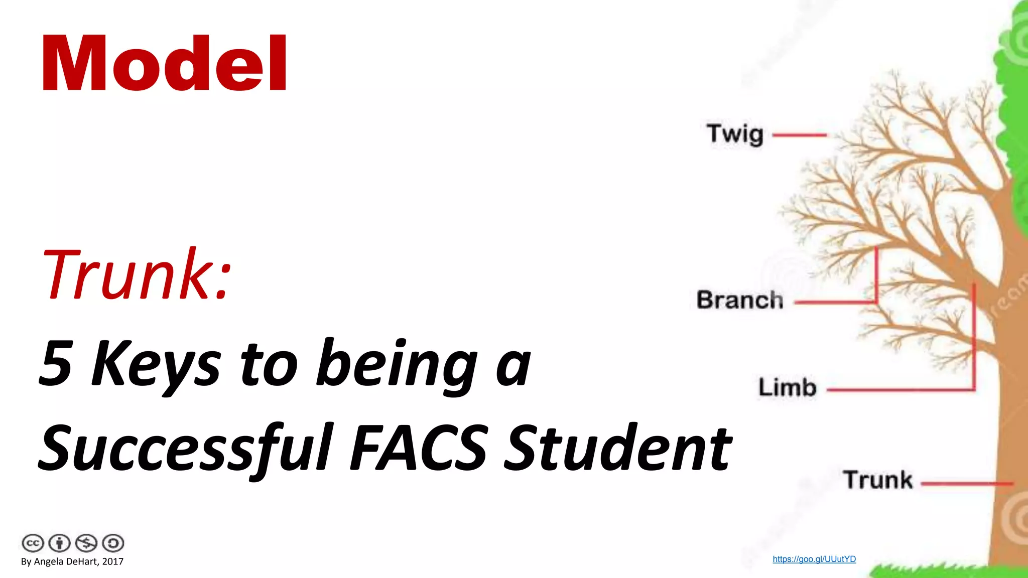 Classroom Expectations Mind Map | PPTX