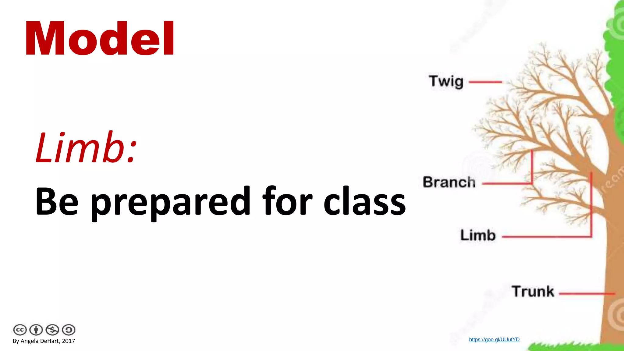 Classroom Expectations Mind Map | PPTX