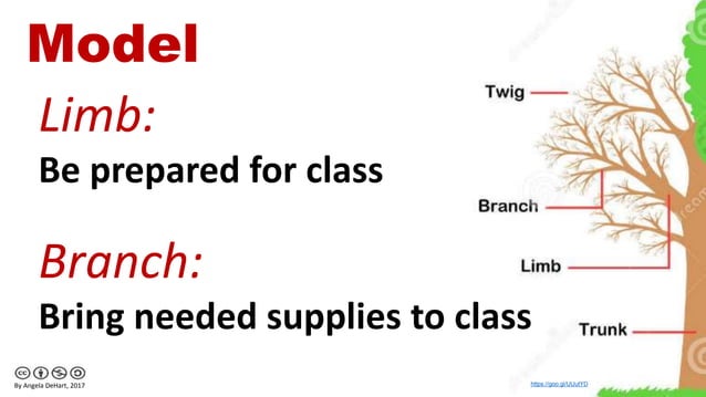 Classroom Expectations Mind Map | PPT