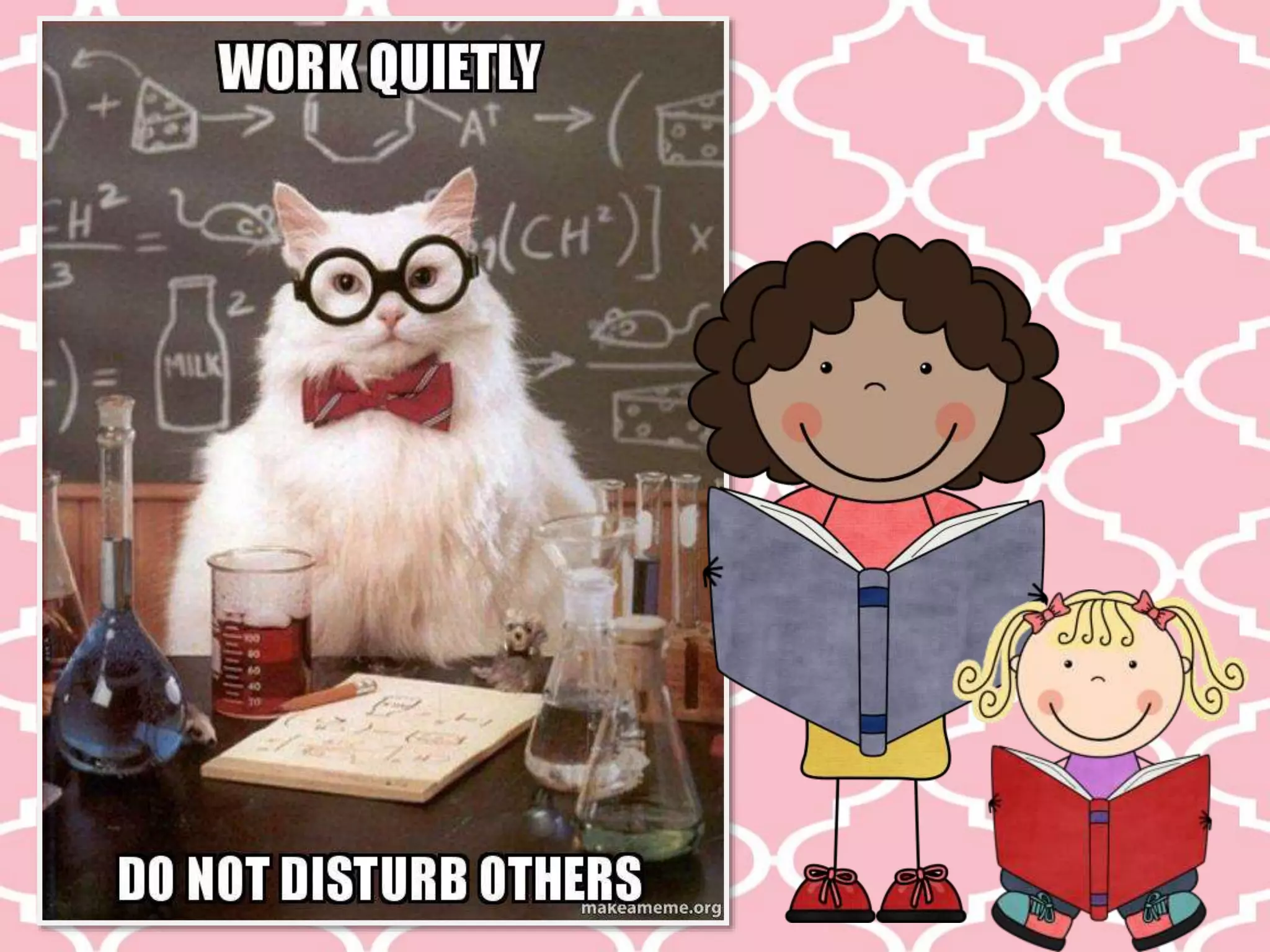 Classroom expectations with memes | PPTX