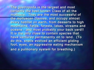 Classroom presentation day 3 reproduction hs marine bio | PPT