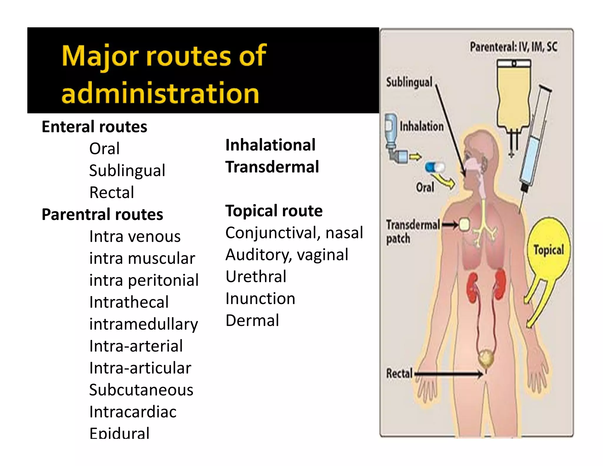 Class routes of drug administration | PDF