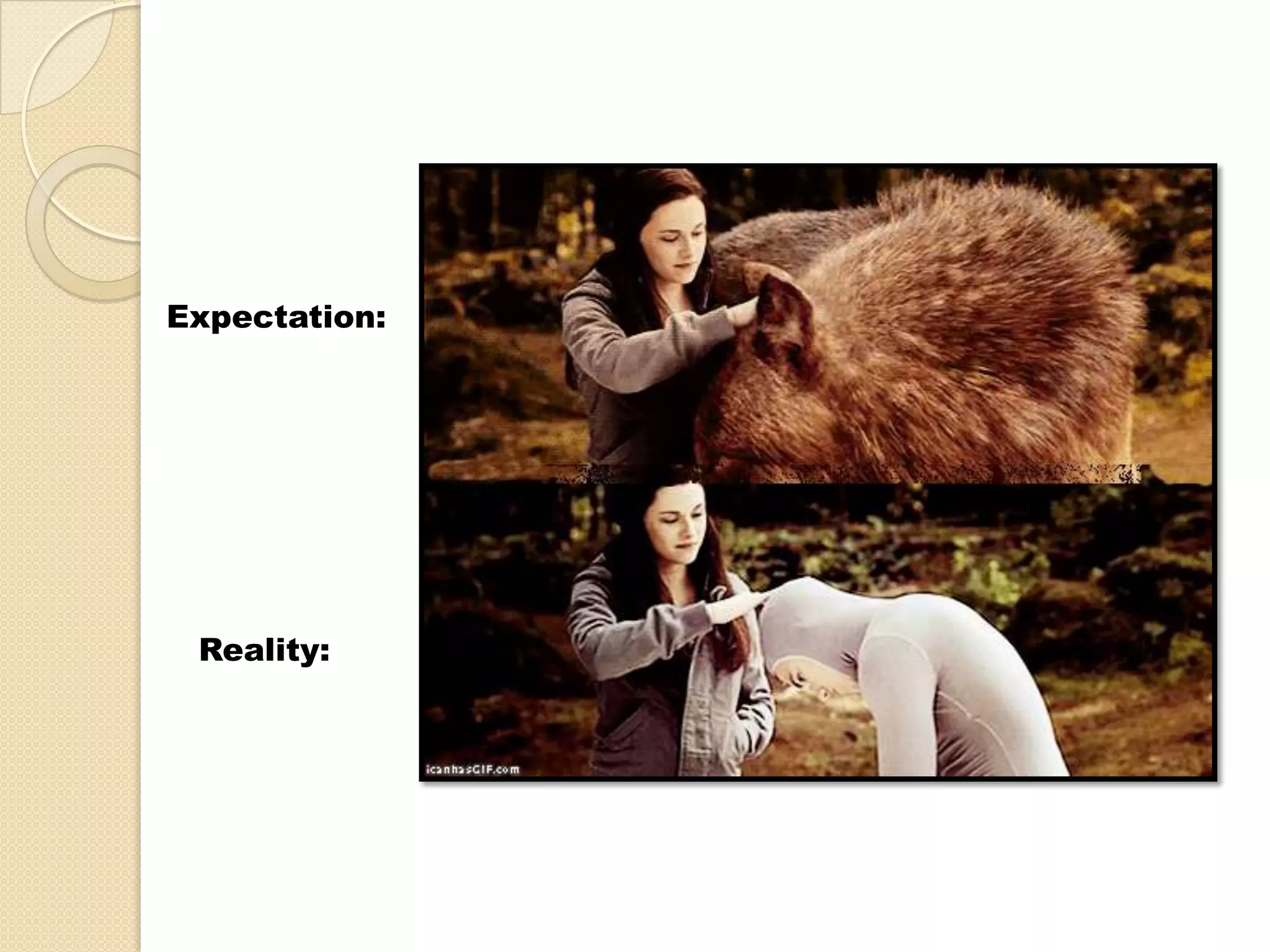 Classroom Rules and Expectations | PPTX