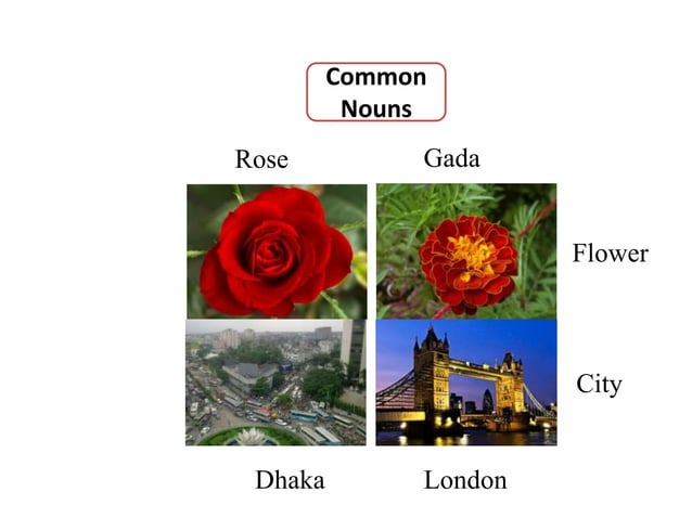 Class seven english 2nd class-7-nouns-c | PPT