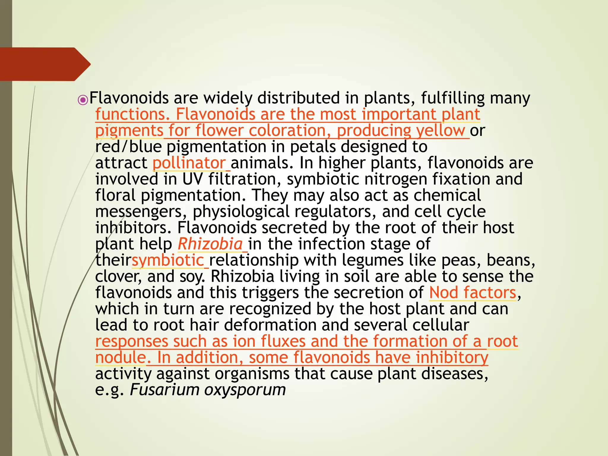 Flavonoids Classification | PPTX