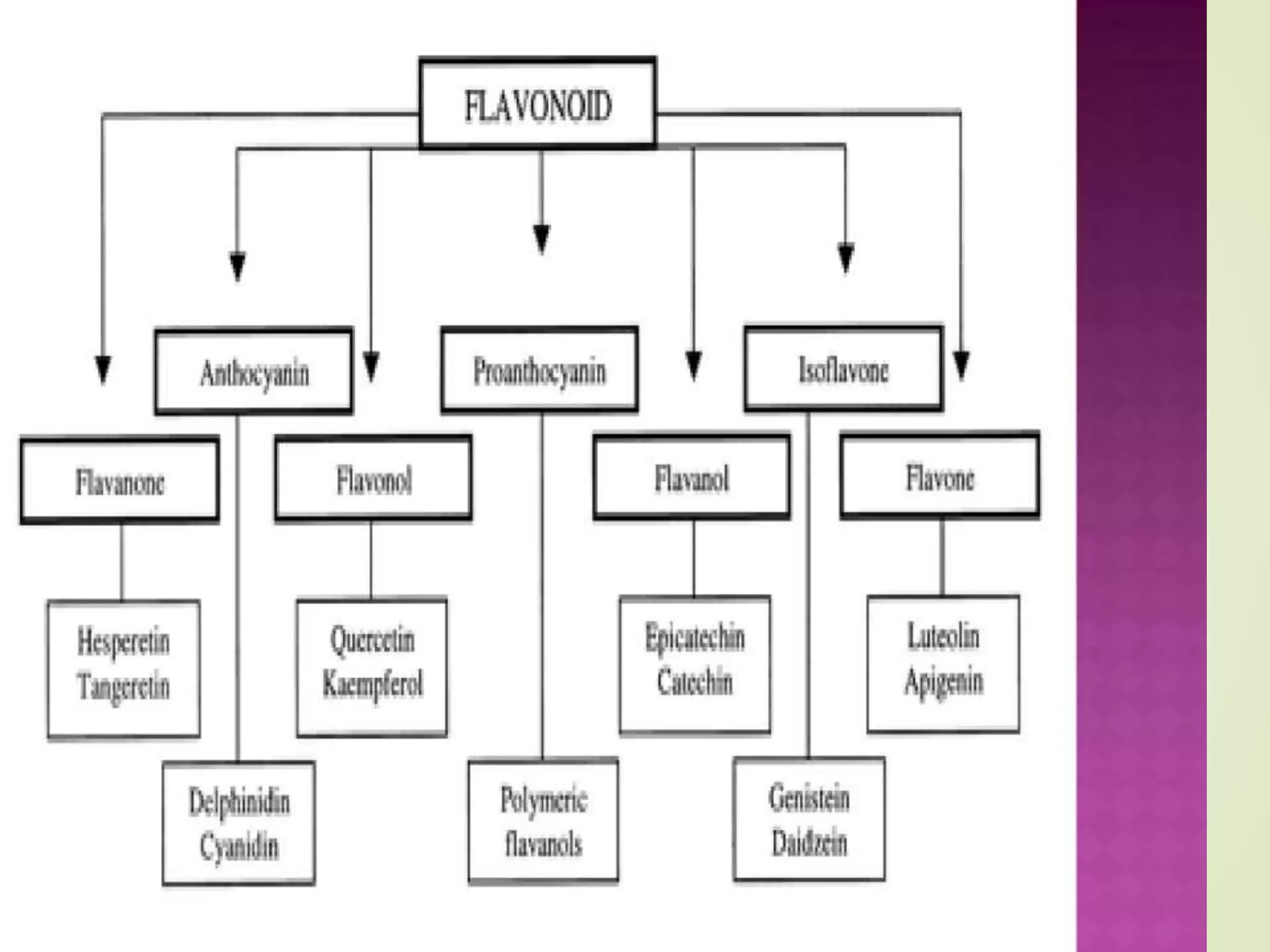 Flavonoids Classification | PPTX