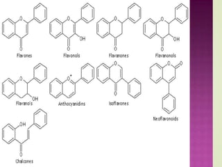 Flavonoids Classification | PPTX