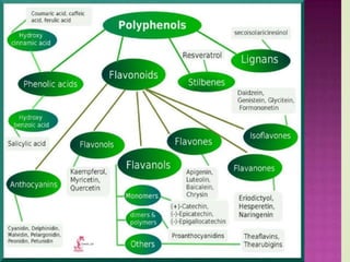 Flavonoids Classification | PPTX
