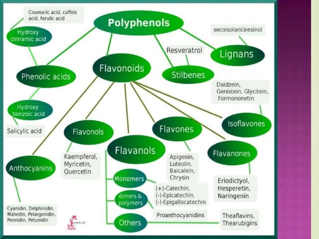 Flavonoids Classification | PPTX