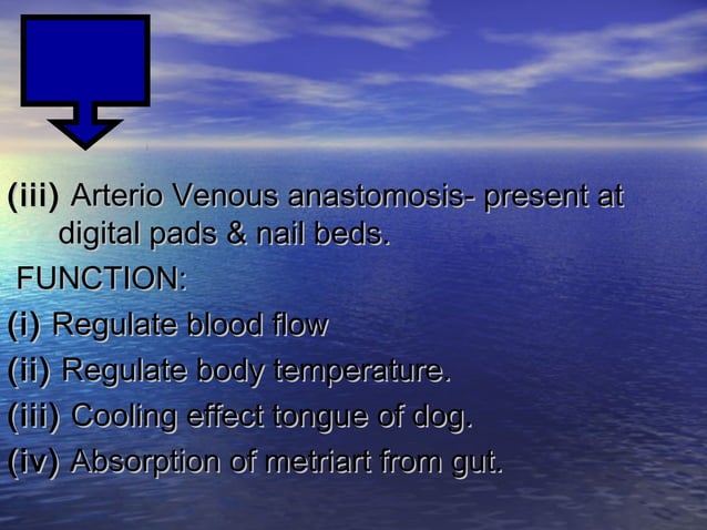 Classsification of blood vessels | PPT