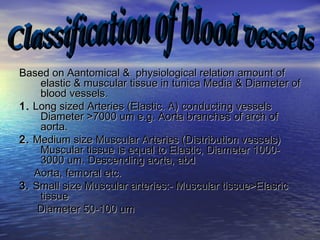 Classsification of blood vessels | PPT