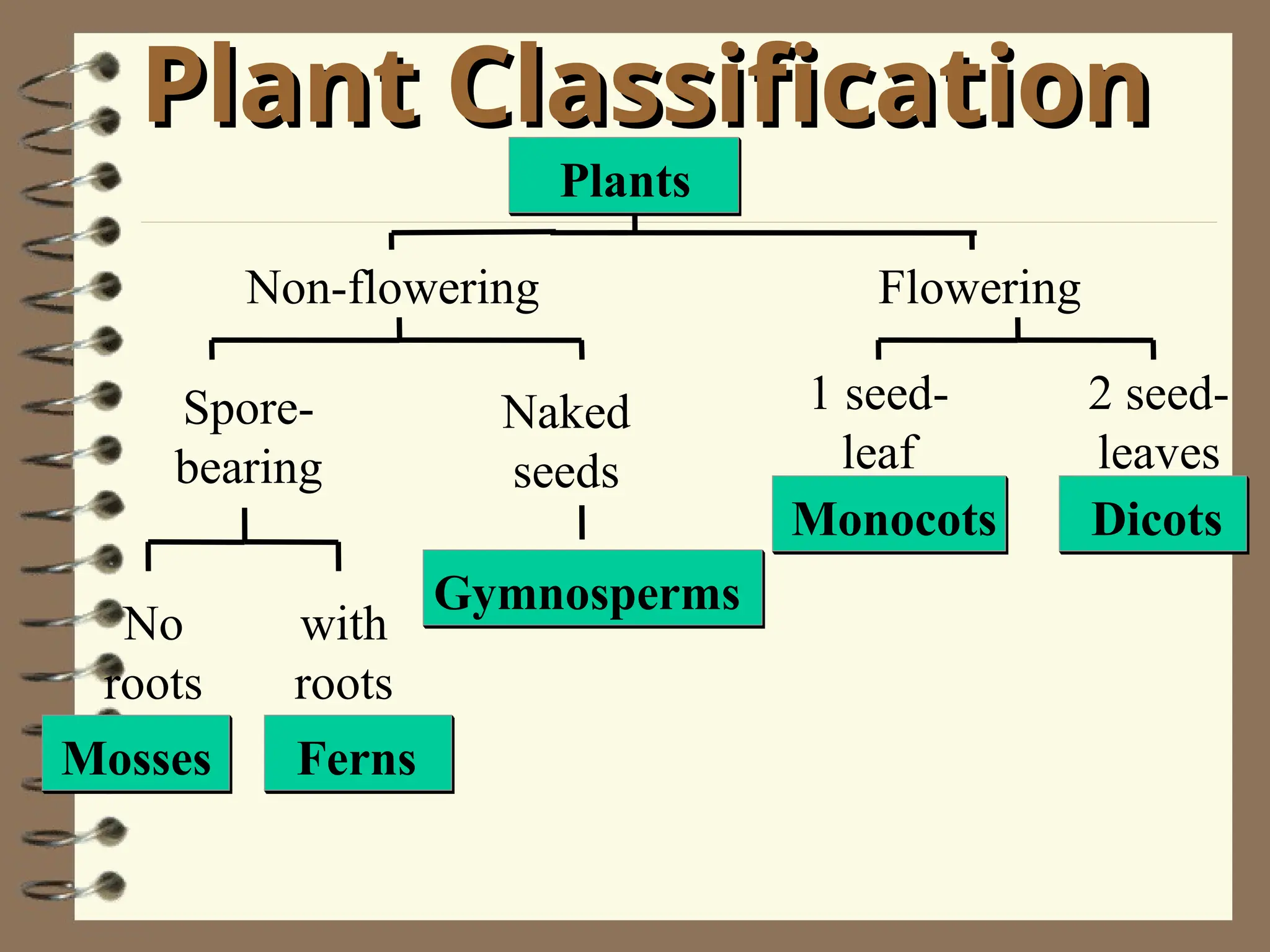 science 6 quarter 2different classsification of plants.ppt