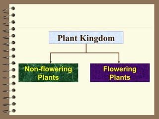 science 6 quarter 2different classsification of plants.ppt