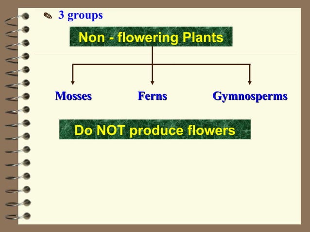 science 6 quarter 2different classsification of plants.ppt