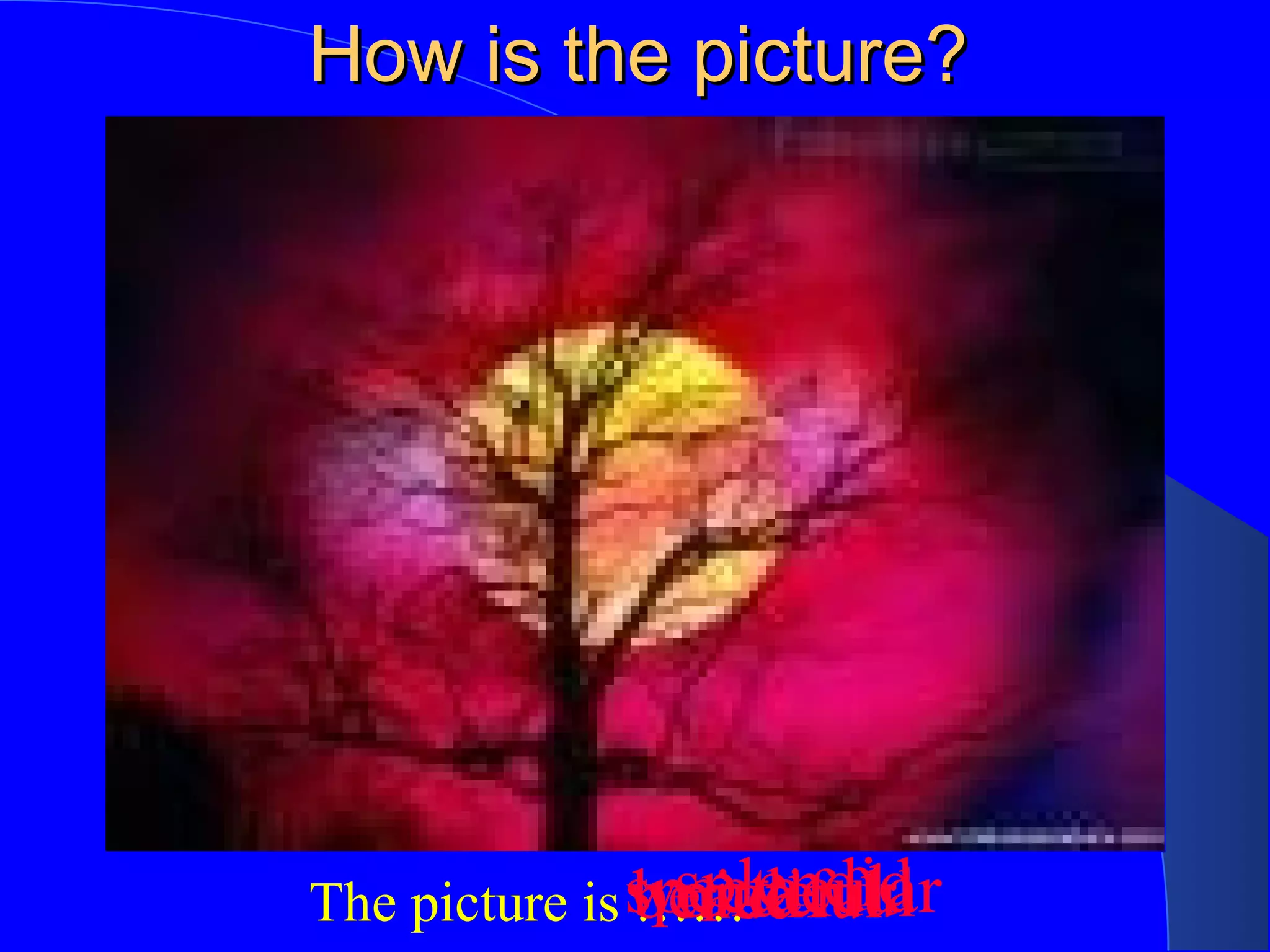 Class six english 2nd paper adjective | PPT