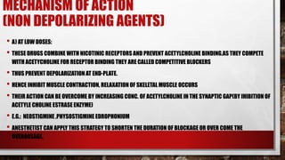 Class skeletal muscle relaxants | PPTX