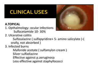Class sulfonamides | PPT