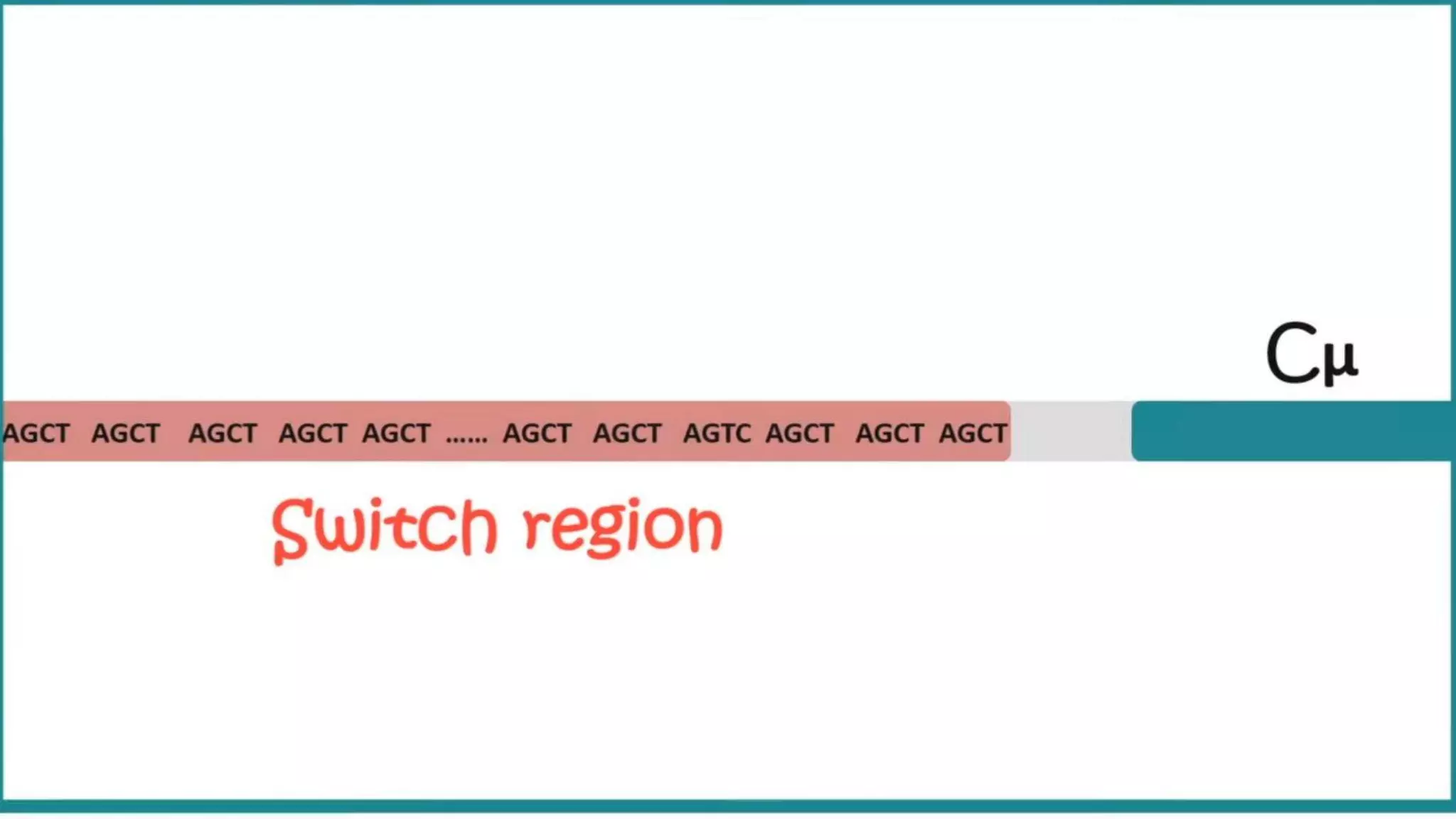 Class Switching.pptx