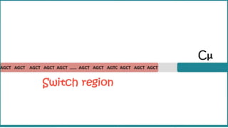 Class Switching.pptx