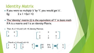 CLASSS XII matha project.pdf