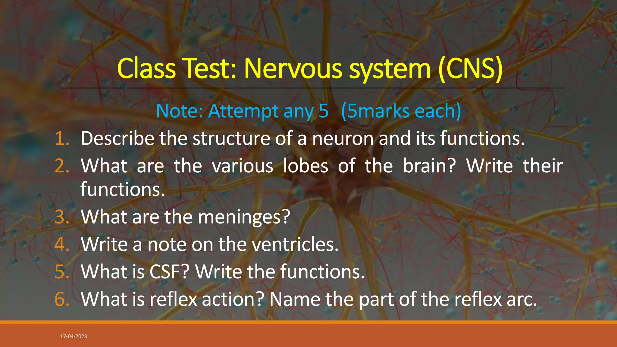 Questions of Central Nervous System | PPTX