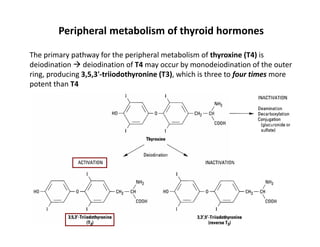 Class thyroid and antithyroid drugs | PDF