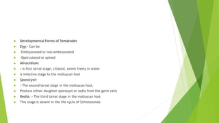 Class Trematoda.pptx