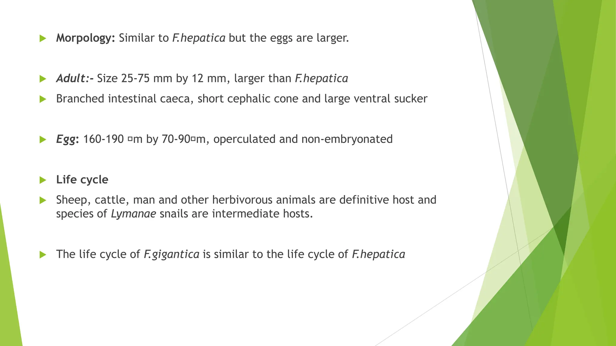 Class Trematoda_073315, the Flukes- lung, liver, intestinal | PPTX ...