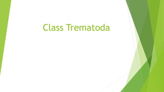 Class Trematoda_073315, the Flukes- lung, liver, intestinal | PPT