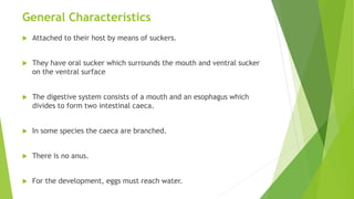 Class Trematoda_073315, the Flukes- lung, liver, intestinal | PPTX