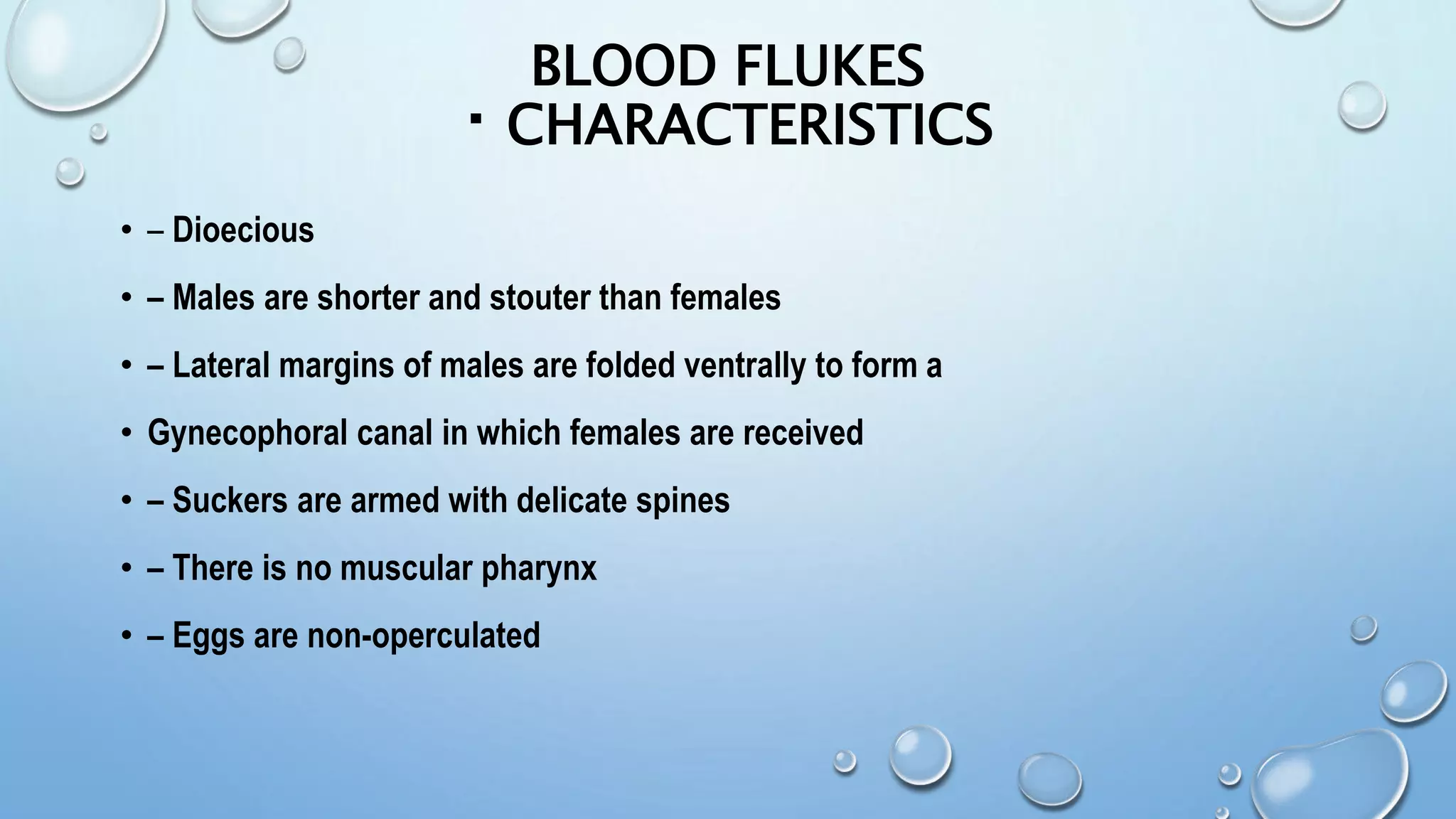 Class trematoda blood fluck | PPTX