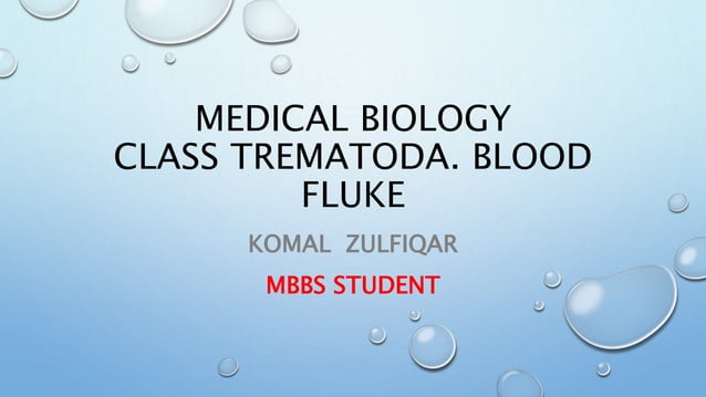Class trematoda blood fluck | PPTX