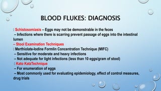 Class trematoda blood fluck | PPTX