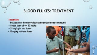 Class trematoda blood fluck | PPTX