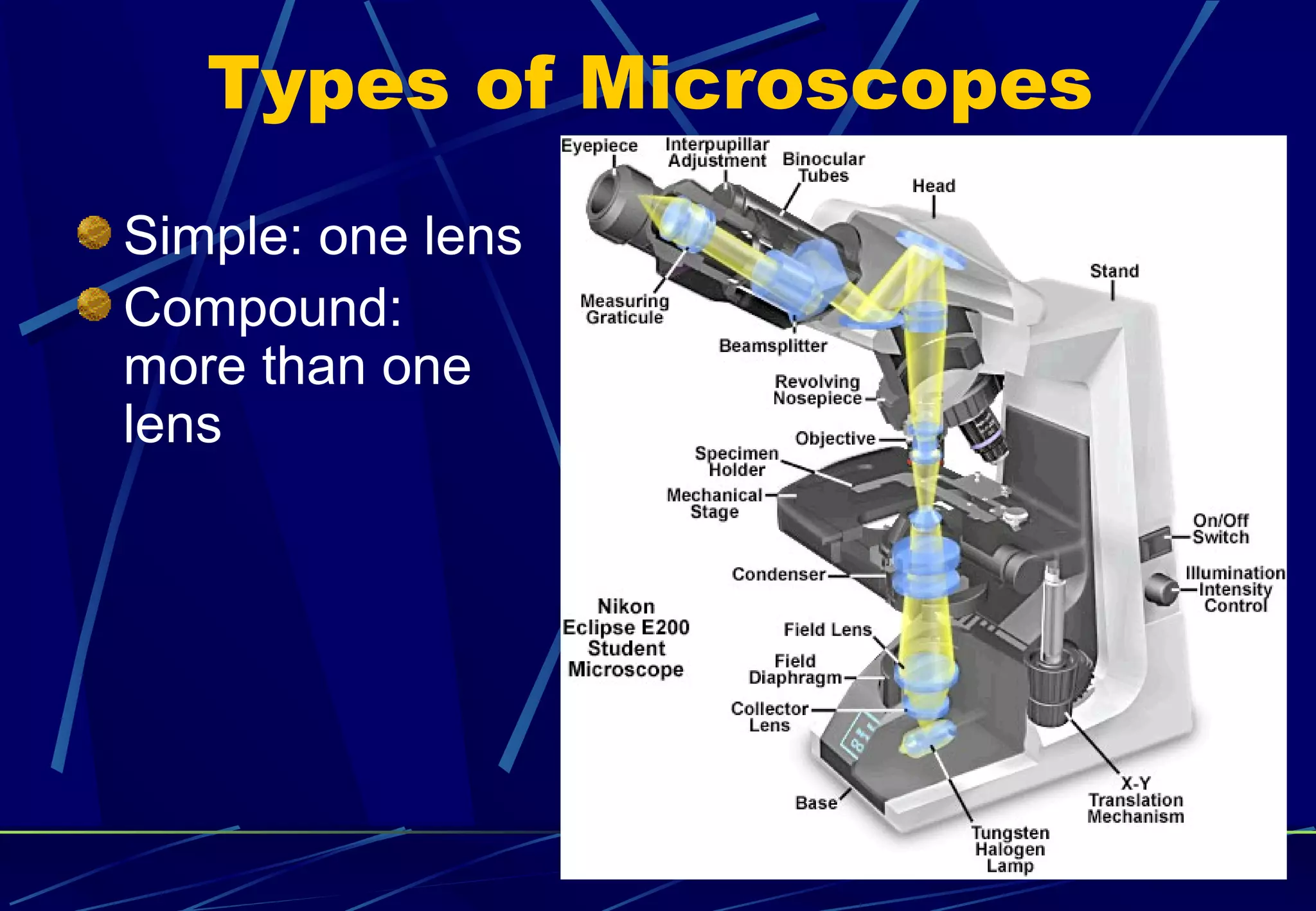 microscopy and staining | PPT