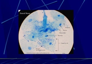 microscopy and staining | PPT
