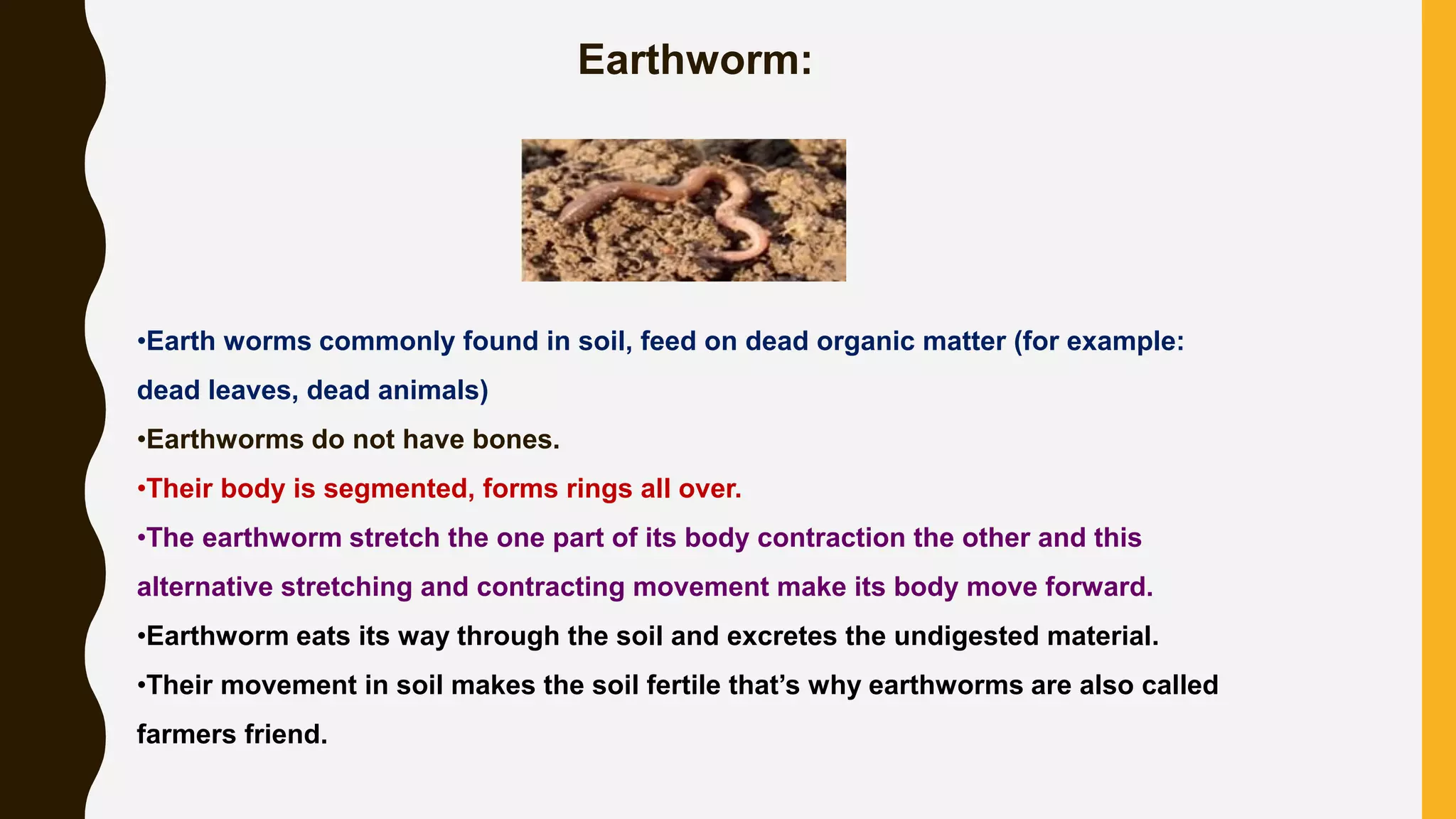 VARIOUS KINDS OF MOVEMENTS IN ANIMALS | PDF