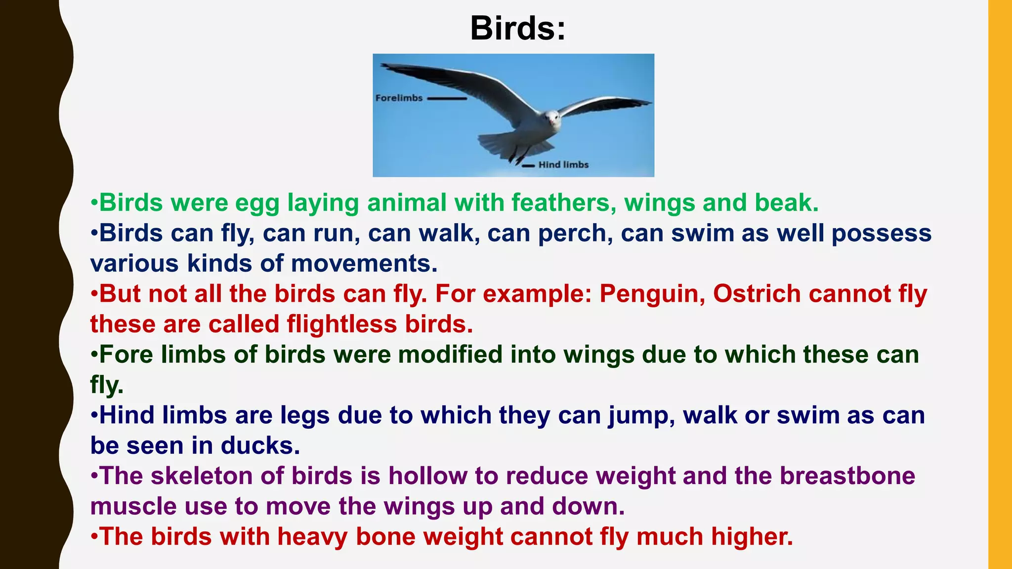 VARIOUS KINDS OF MOVEMENTS IN ANIMALS | PDF
