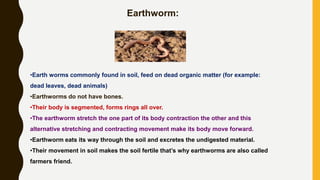 VARIOUS KINDS OF MOVEMENTS IN ANIMALS | PDF
