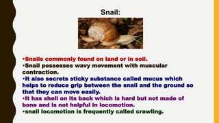 VARIOUS KINDS OF MOVEMENTS IN ANIMALS | PDF