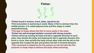 VARIOUS KINDS OF MOVEMENTS IN ANIMALS | PDF