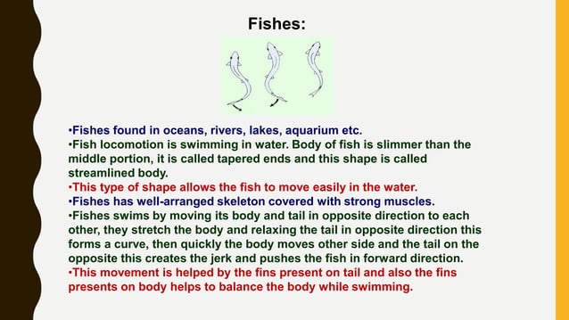 VARIOUS KINDS OF MOVEMENTS IN ANIMALS | PPT