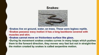 VARIOUS KINDS OF MOVEMENTS IN ANIMALS | PDF